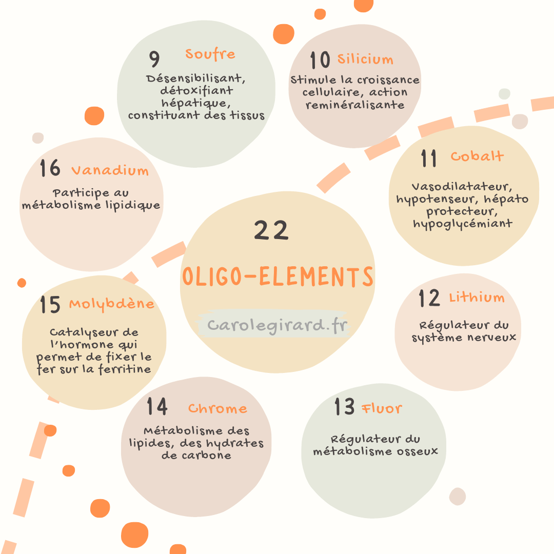 Où trouver les oligoéléments dans l'alimentation ? | Carole Girard