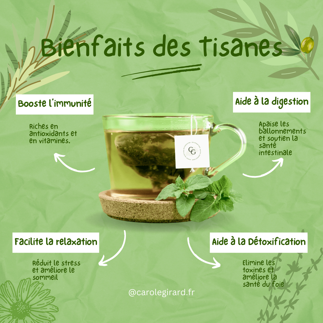 Bienfaits des tisanes : mes recettes de plantes médicinales | Carole Girard